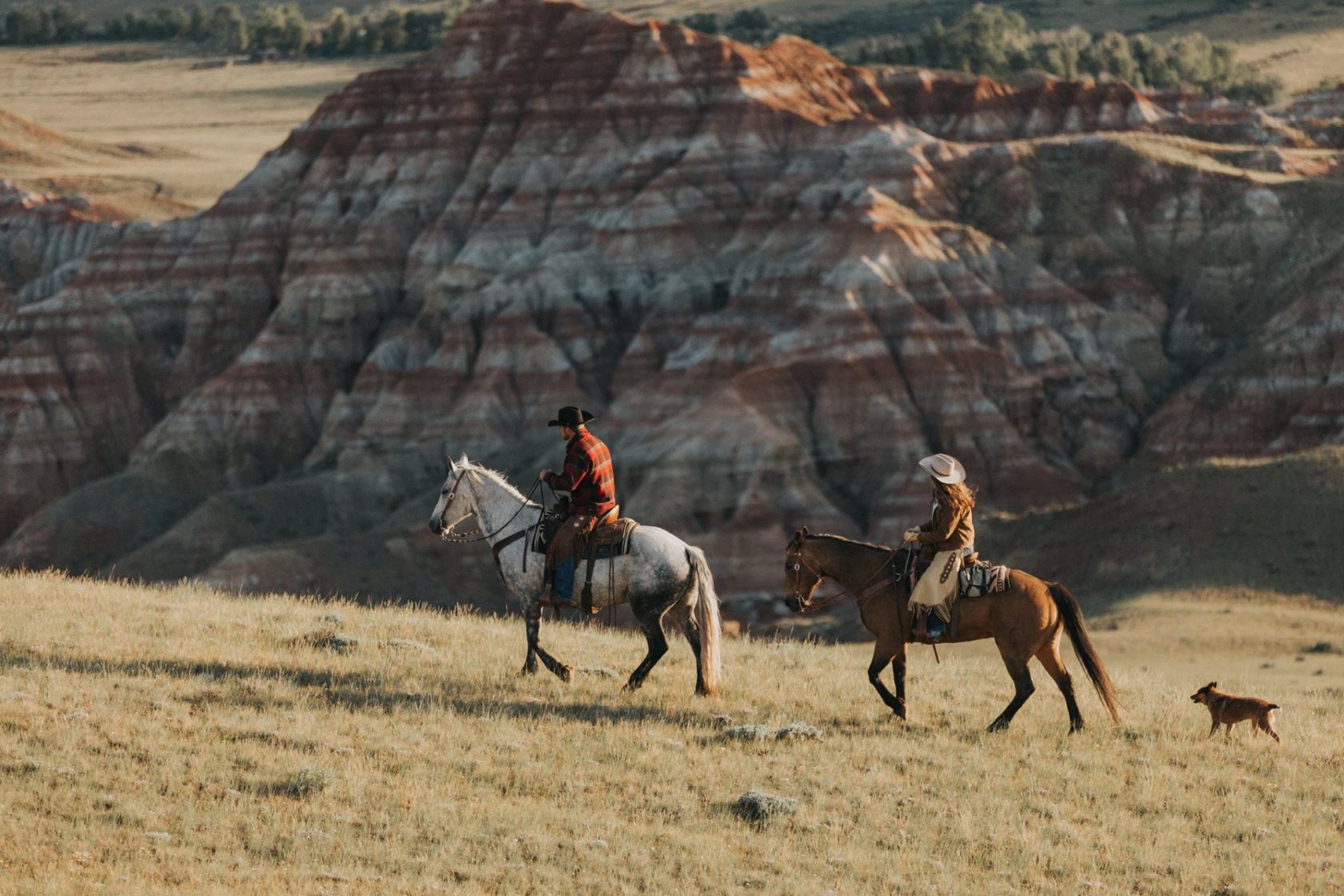 Pet & Dog Friendly Ranch Vacations - The Dude Ranchers Association