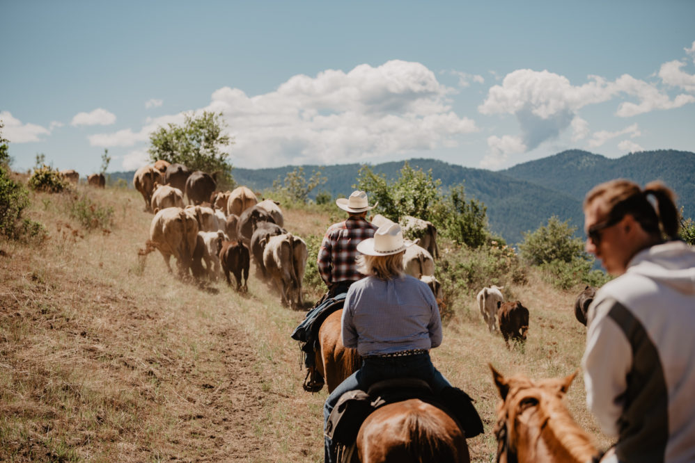 Experience the Real Old West | The Dude Ranchers' Association