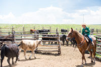 Experience the Real Old West | The Dude Ranchers' Association