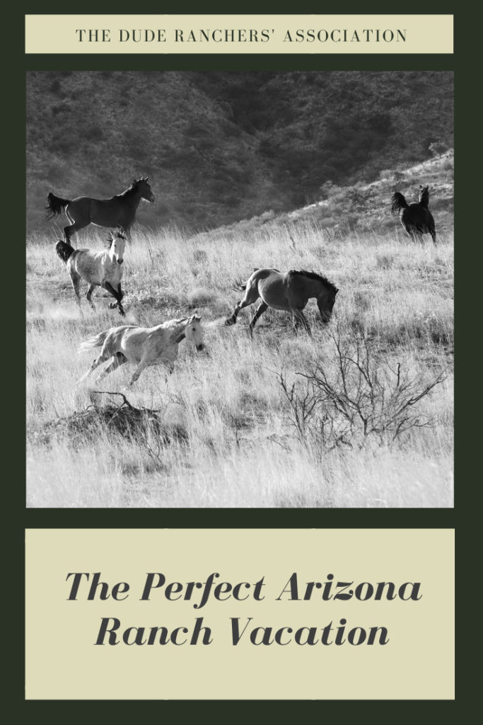 Arizona Dude Ranch Vacation | The Dude Ranchers' Association