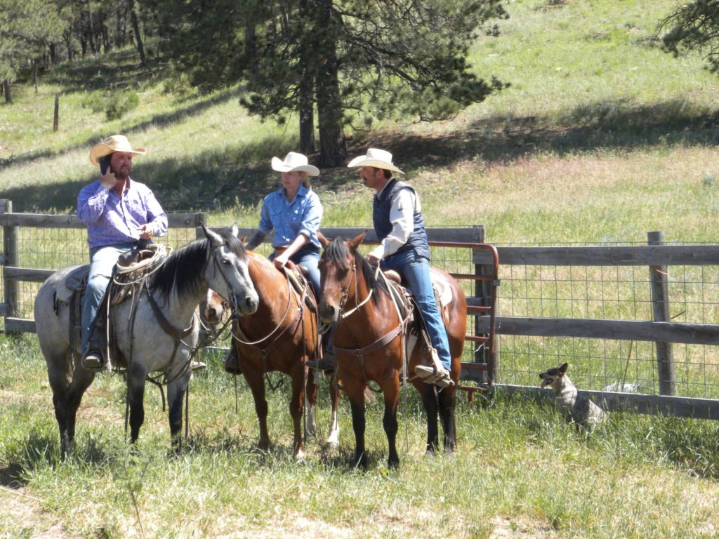 Working Cattle Ranches in the West | The Dude Ranchers' Association