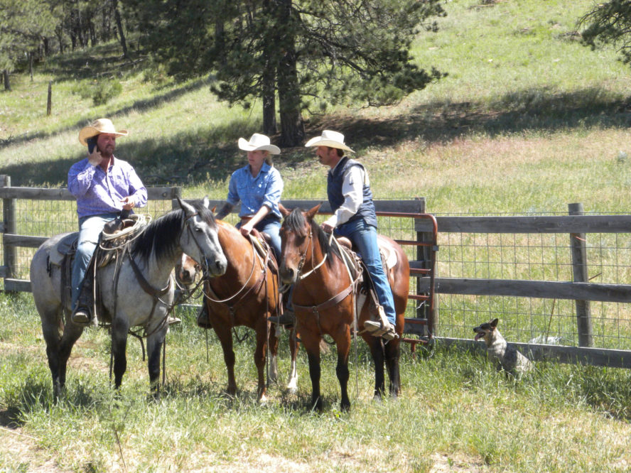 Working Cattle Ranches in the West | The Dude Ranchers' Association