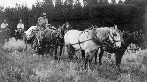 Top 6 California Dude Ranch Vacations - The Dude Ranchers Association