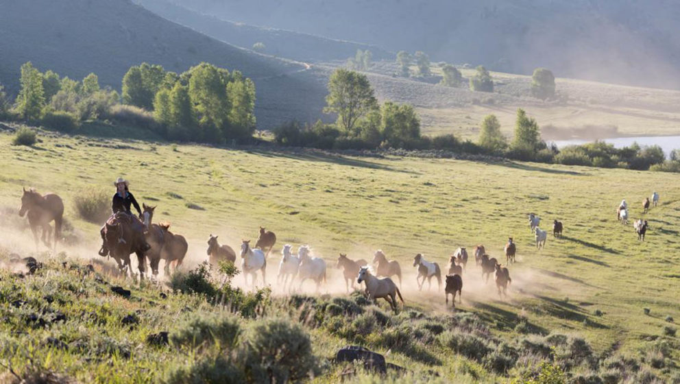 A Bar A Ranch - The Dude Ranchers Association