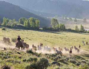 A Bar A Ranch - The Dude Ranchers Association
