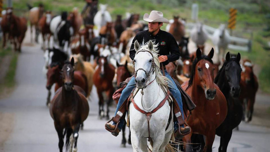 Bar Lazy J Guest Ranch - The Dude Ranchers Association