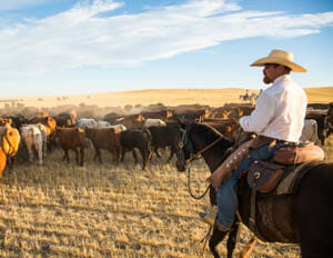 Bar W Guest Ranch - The Dude Ranchers Association