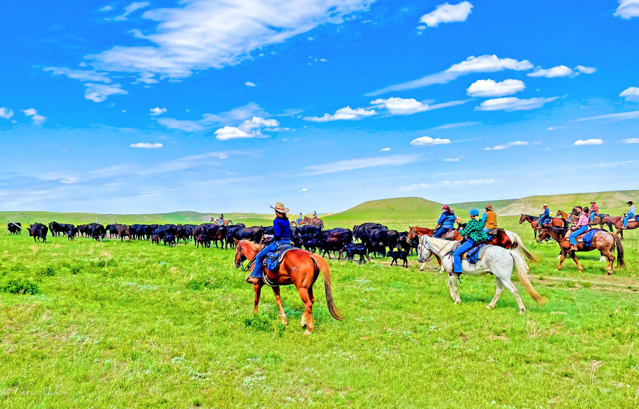 Bar W Guest Ranch - The Dude Ranchers Association