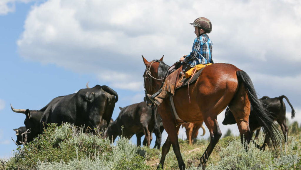 Black Mountain Ranch - The Dude Ranchers Association
