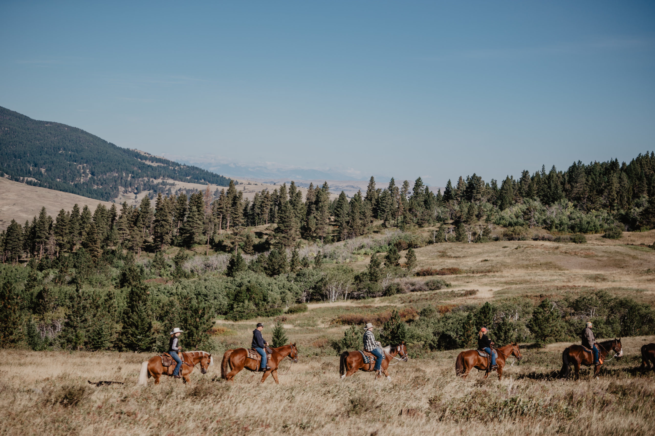 Blacktail Ranch - The Dude Ranchers Association