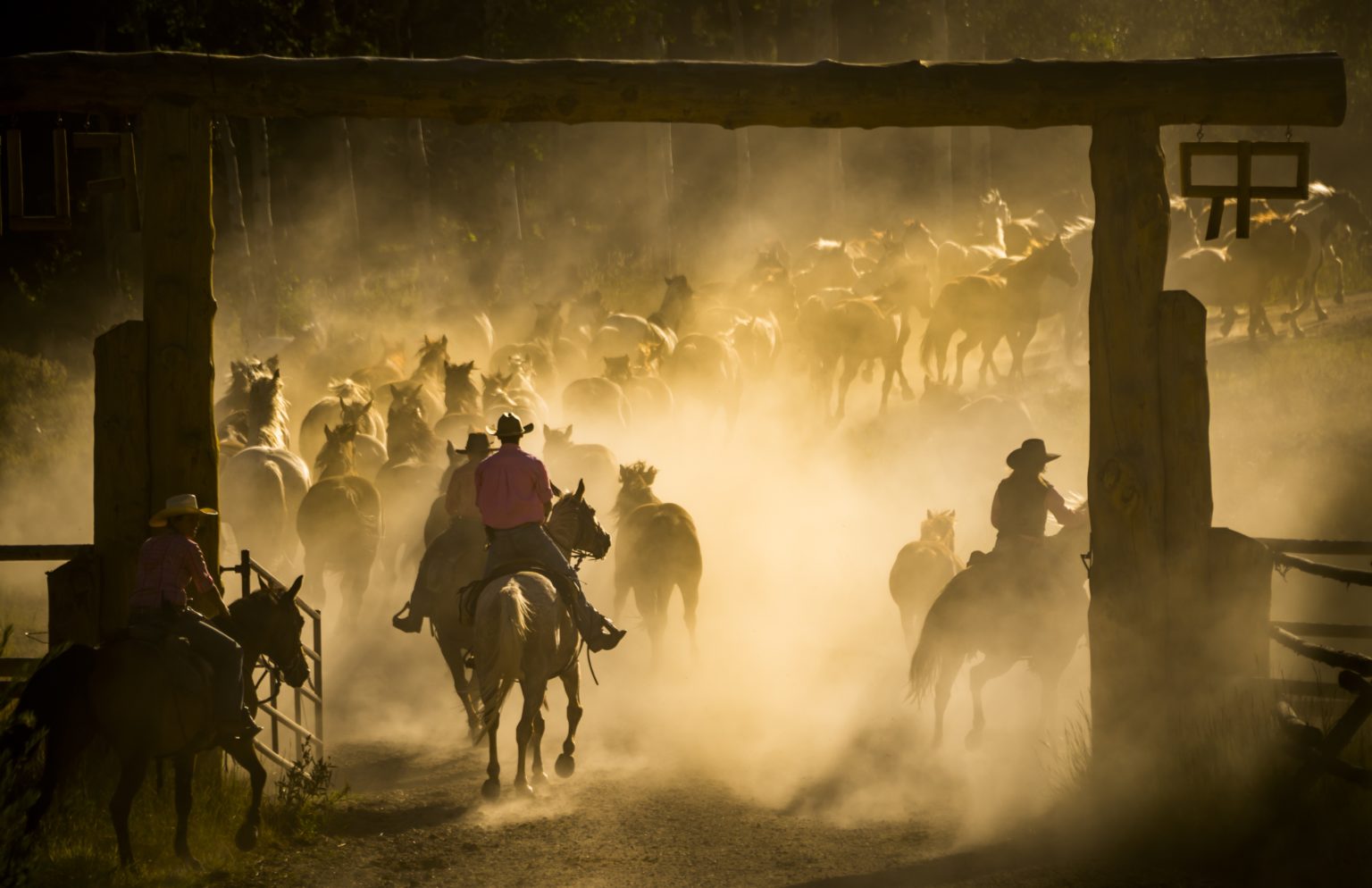 Paradise Guest Ranch - The Dude Ranchers Association