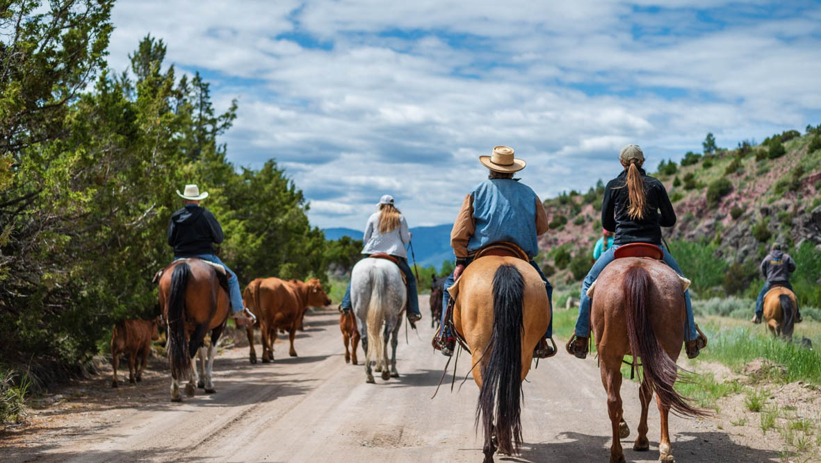 Hidden Hollow Hideaway Cattle & Guest Ranch - The Dude Ranchers Association