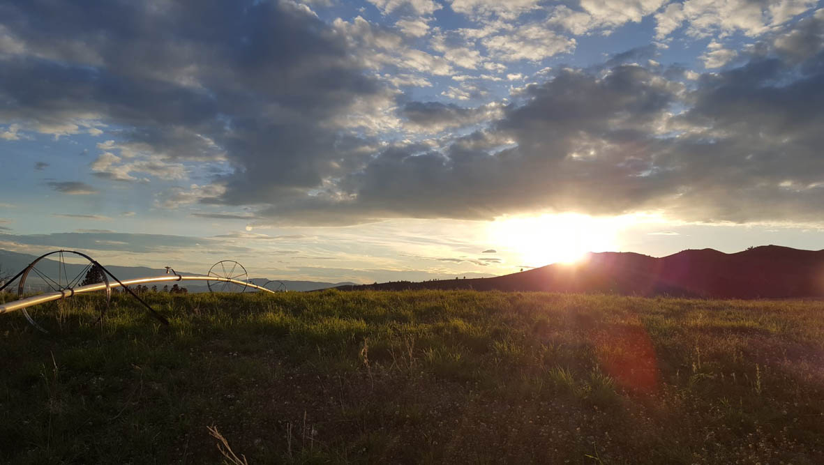 Hidden Hollow Hideaway Cattle & Guest Ranch - The Dude Ranchers Association