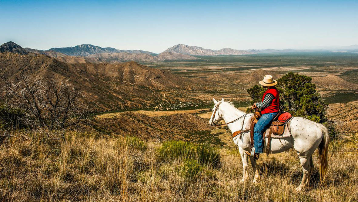 Elkhorn Ranch - AZ - The Dude Ranchers Association
