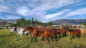 Hunewill Circle H Guest Ranch - The Dude Ranchers Association