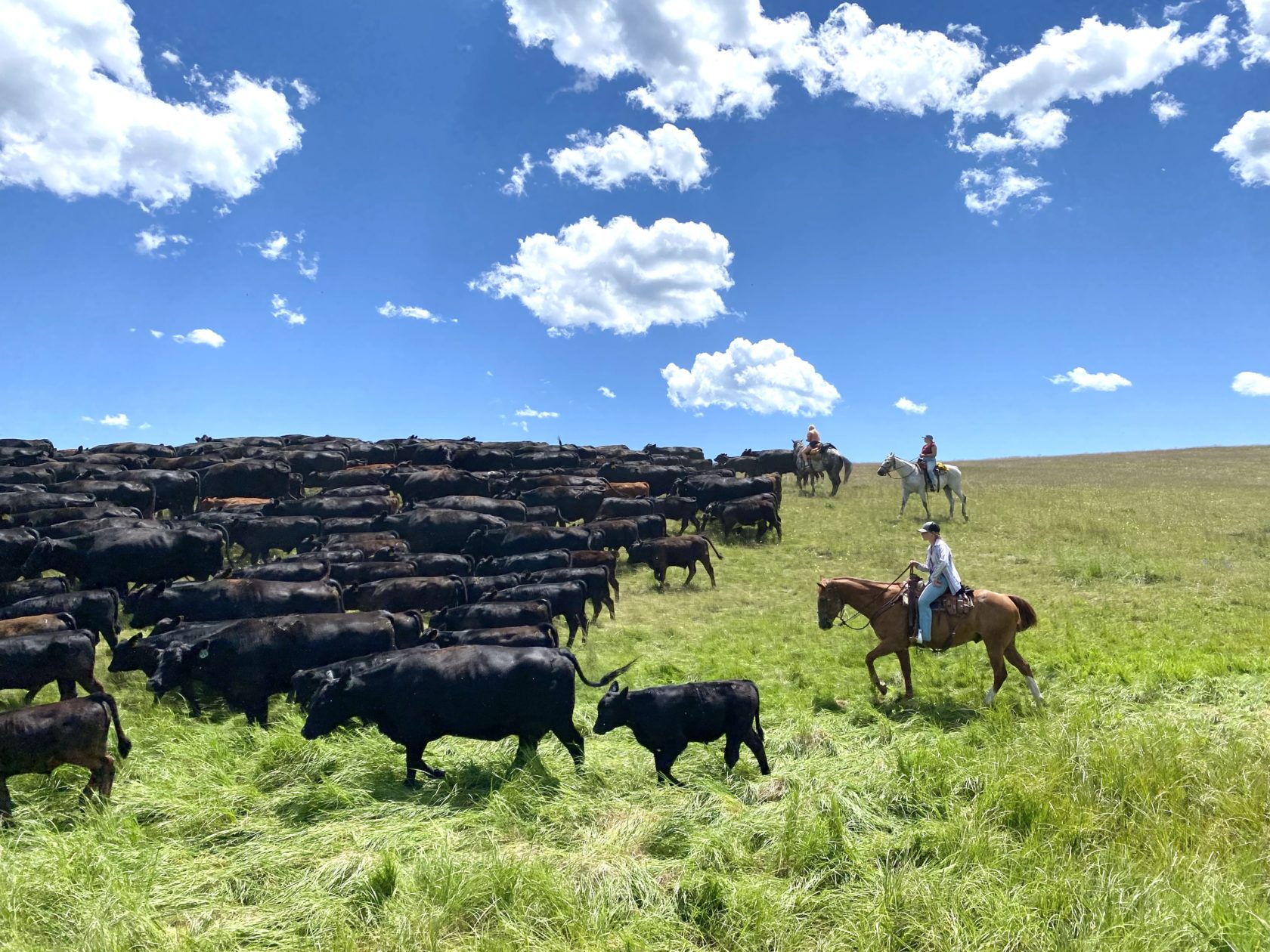 Klondike Ranch - The Dude Ranchers Association