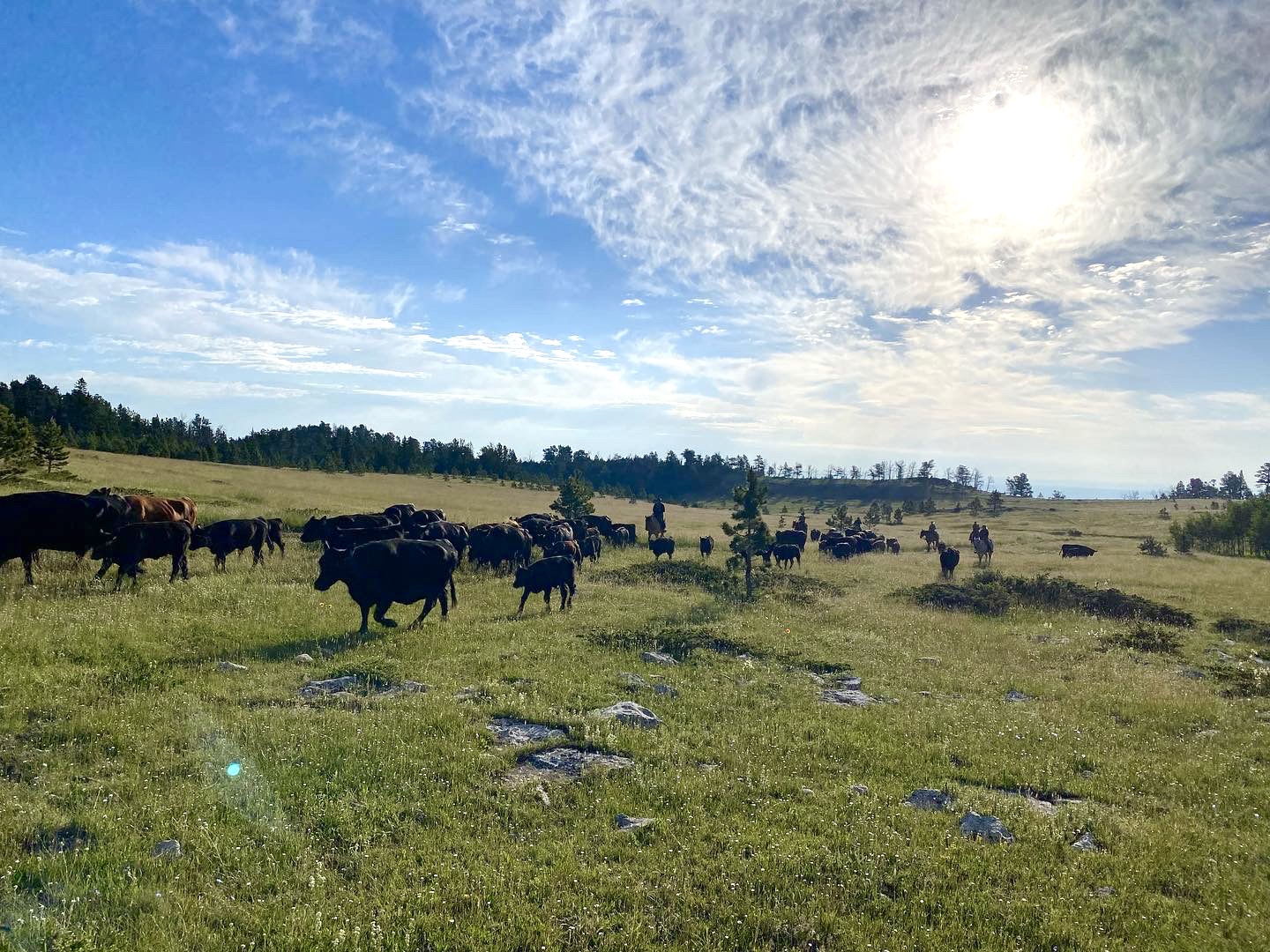 Klondike Ranch - The Dude Ranchers Association
