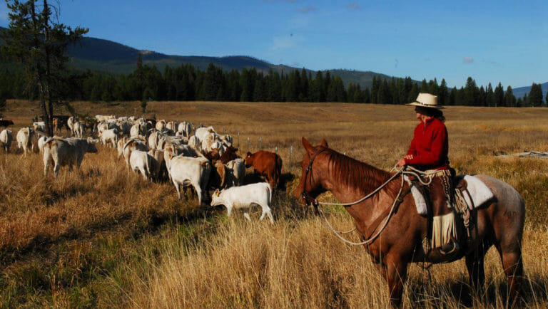 Live Out Your Yellowstone Dreams - Take a Dude Ranch Vacation