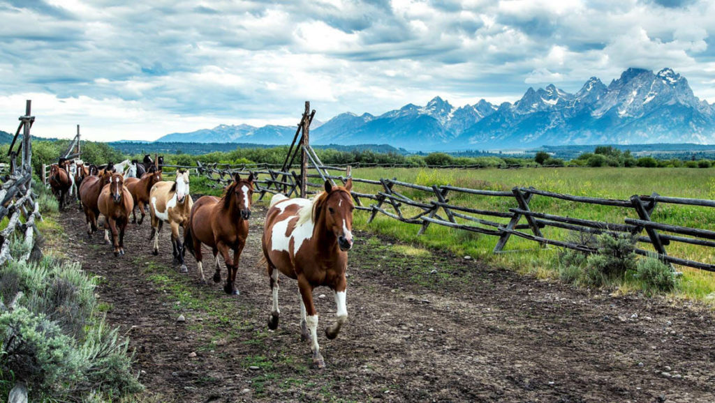 Moose Head Ranch - The Dude Ranchers Association