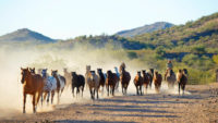 Rancho de los Caballeros - The Dude Ranchers Association