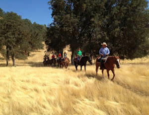 Rankin Ranch - The Dude Ranchers Association