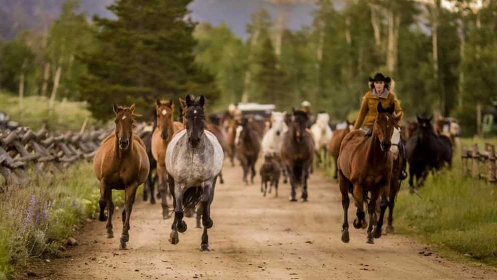 Rawah Ranch - The Dude Ranchers Association