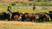 Red Rock Ranch - The Dude Ranchers Association