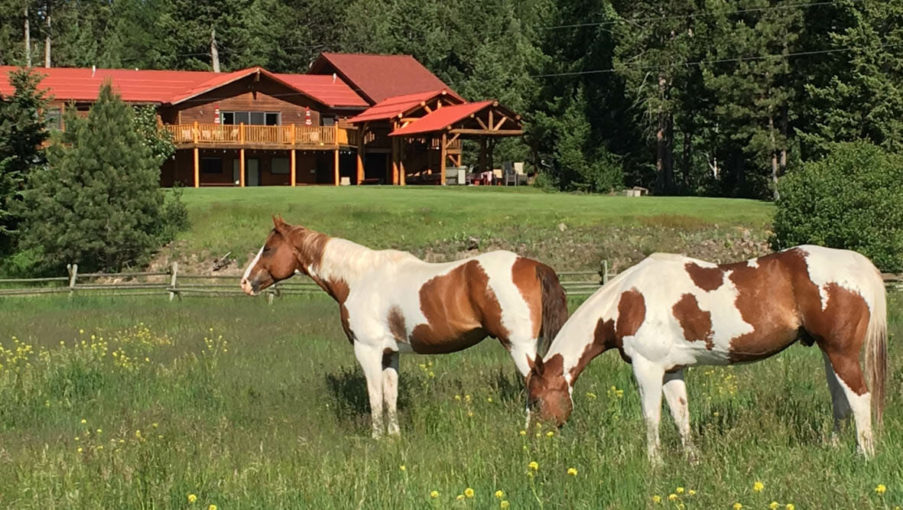 Rich's Montana Guest Ranch - The Dude Ranchers Association