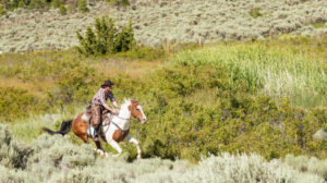 Sundance Guest Ranch - The Dude Ranchers Association