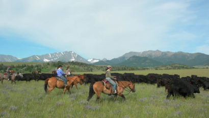 Sweet Grass Ranch - The Dude Ranchers Association