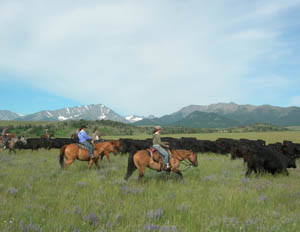 Sweet Grass Ranch - The Dude Ranchers Association