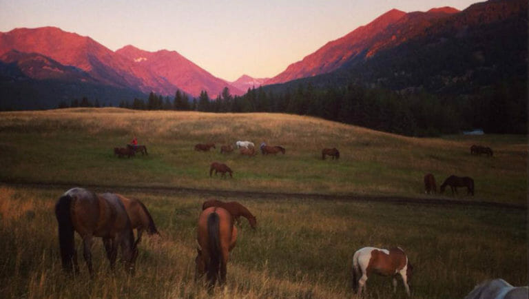 Sweet Grass Ranch - The Dude Ranchers Association