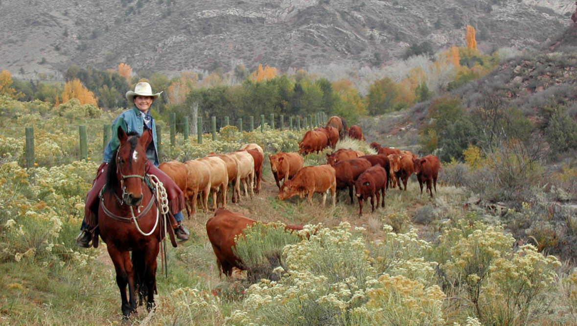 Sylvan Dale Guest Ranch - The Dude Ranchers Association