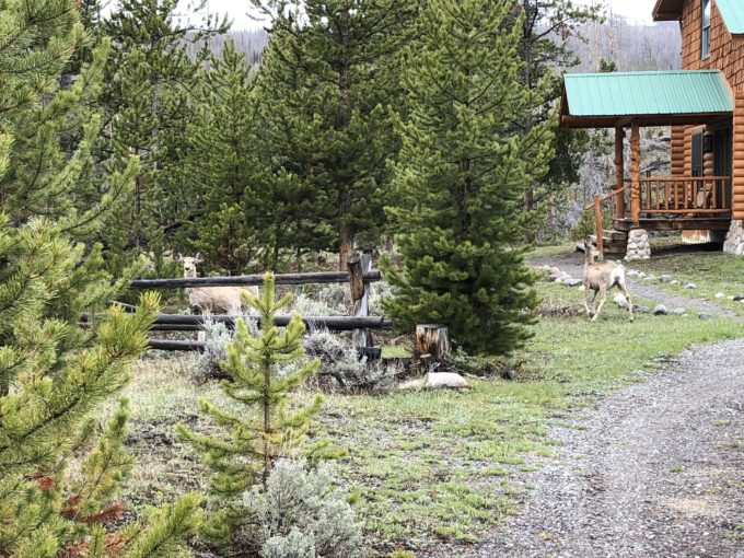 Triangle C Ranch - The Dude Ranchers Association