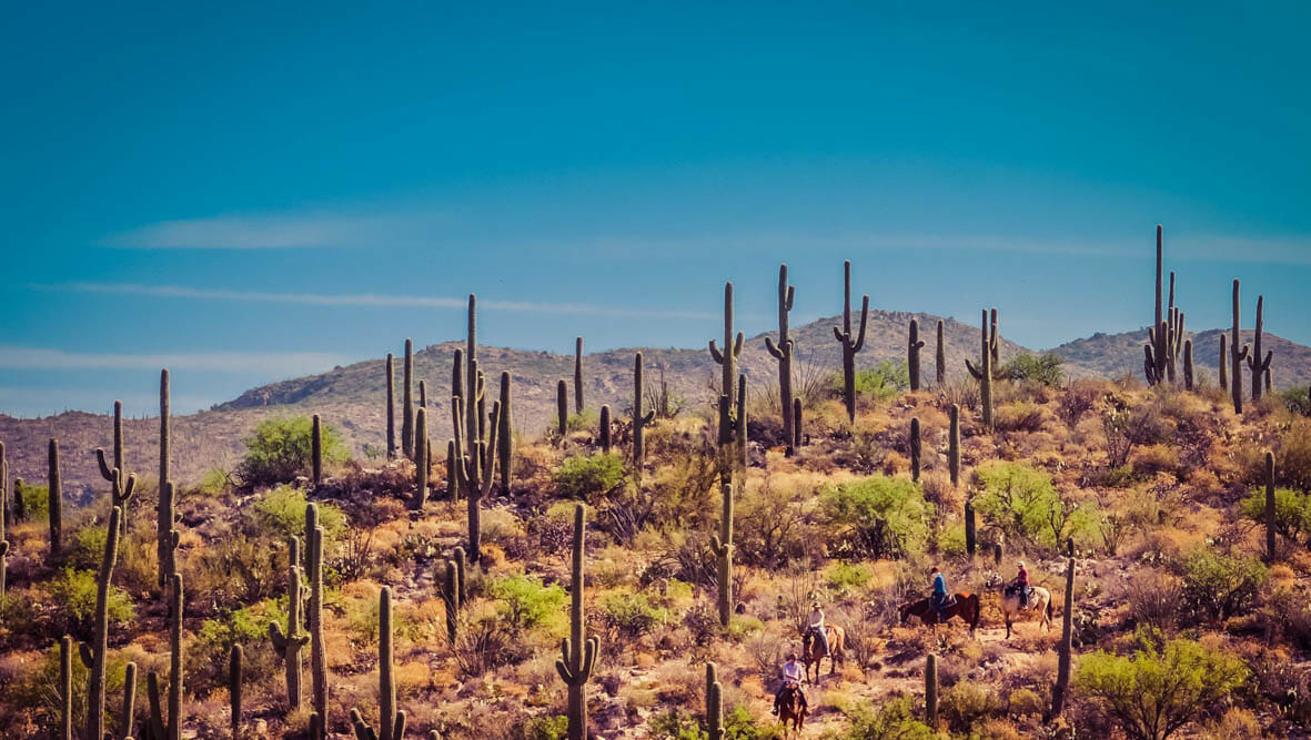 Tanque Verde Ranch - The Dude Ranchers Association