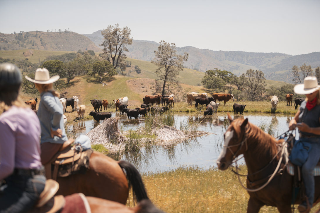 V6 Ranch - The Dude Ranchers Association