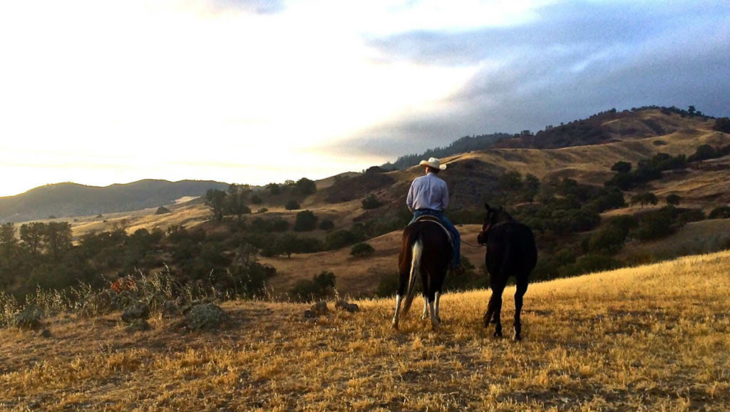 V6 Ranch - The Dude Ranchers Association