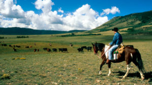 Vee Bar Guest Ranch - The Dude Ranchers Association