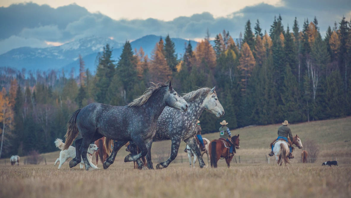 Western Pleasure Guest Ranch - The Dude Ranchers Association