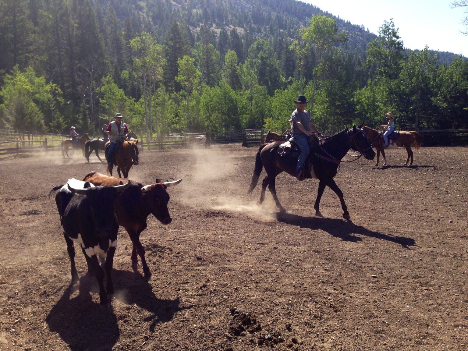 JJJ Wilderness Ranch - The Dude Ranchers Association