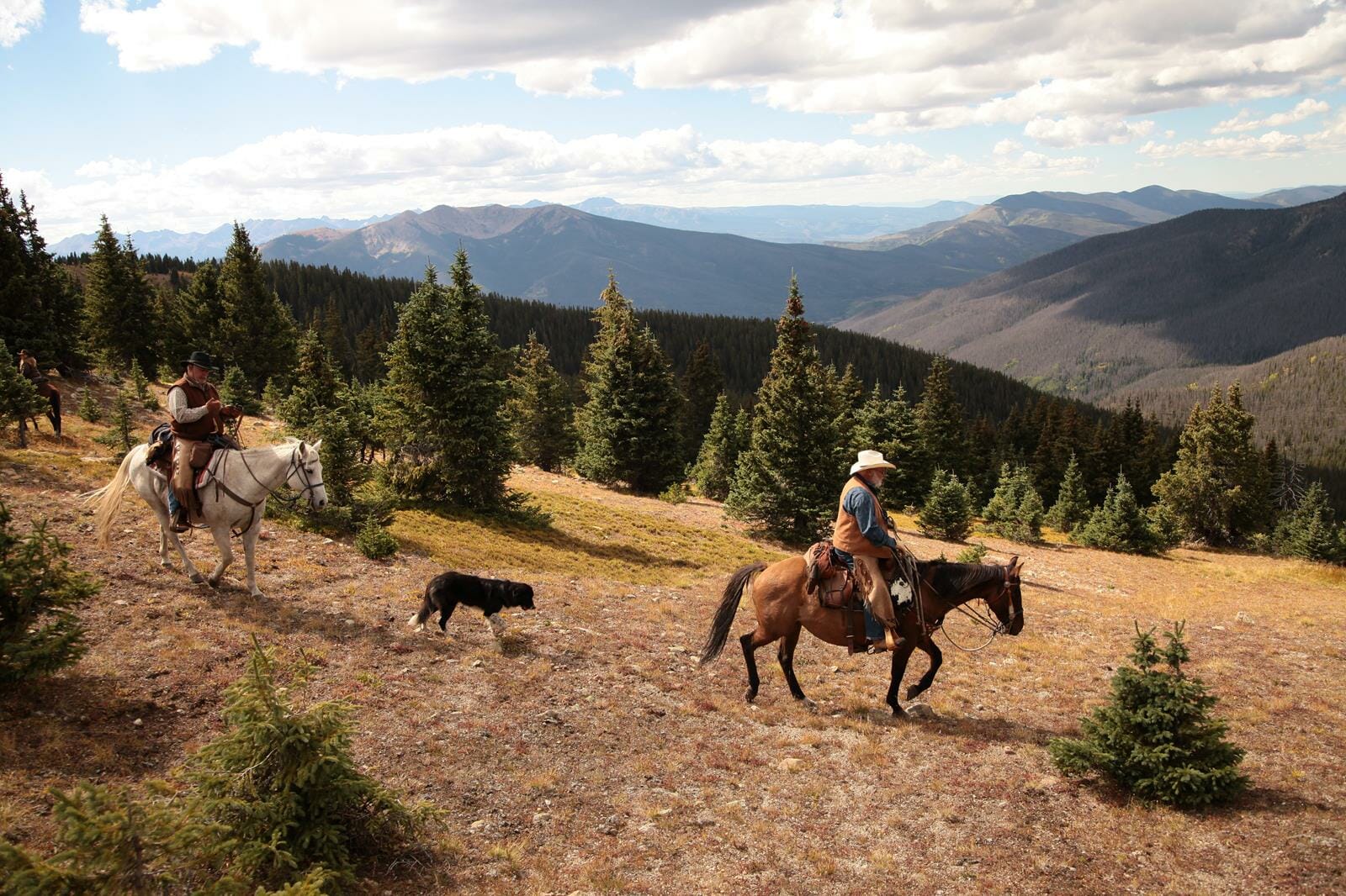 Pet & Dog Friendly Ranch Vacations - The Dude Ranchers Association
