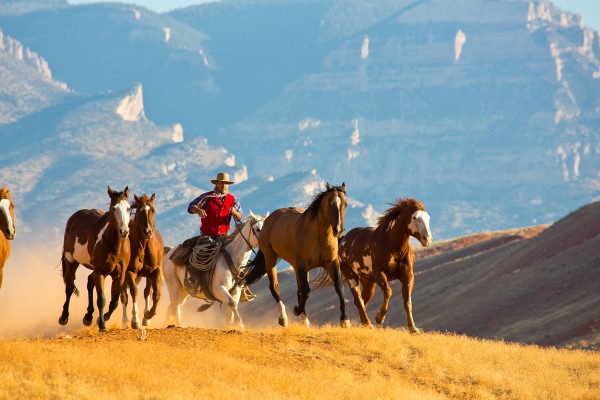 4 Types of Dude Ranch Vacations - The Dude Ranchers Association