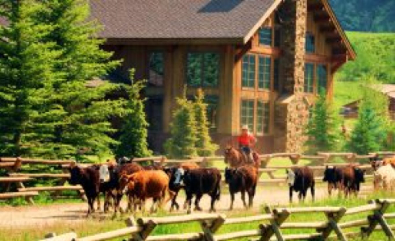 Things to Know Before You Go | The Dude Ranchers' Association