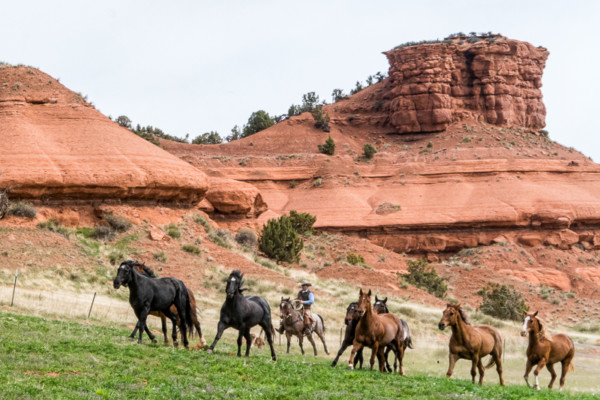 Dude & Guest Ranch Vacations - The Dude Ranchers Association