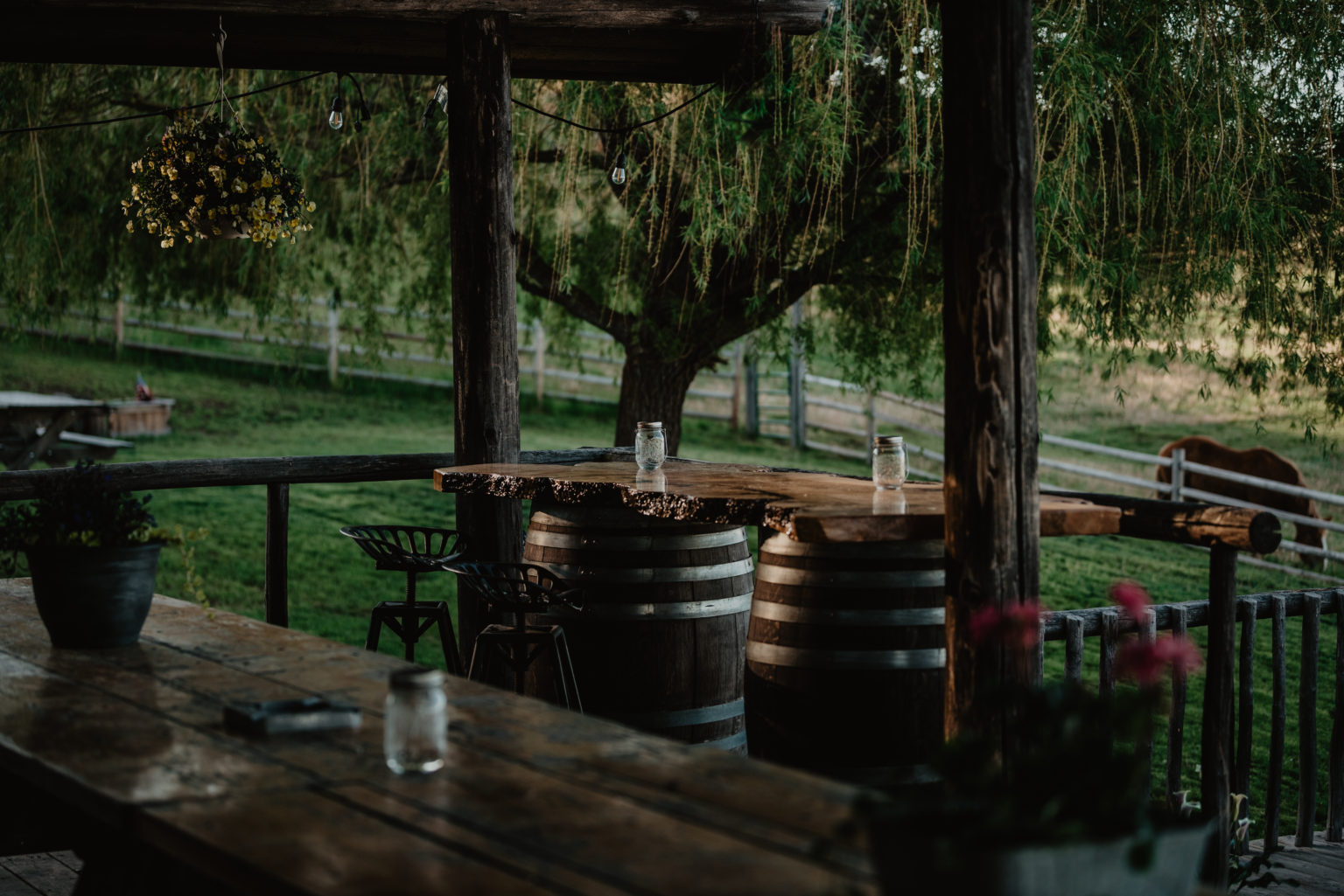 Make This the Year of the Cowboy | The Dude Ranchers' Association