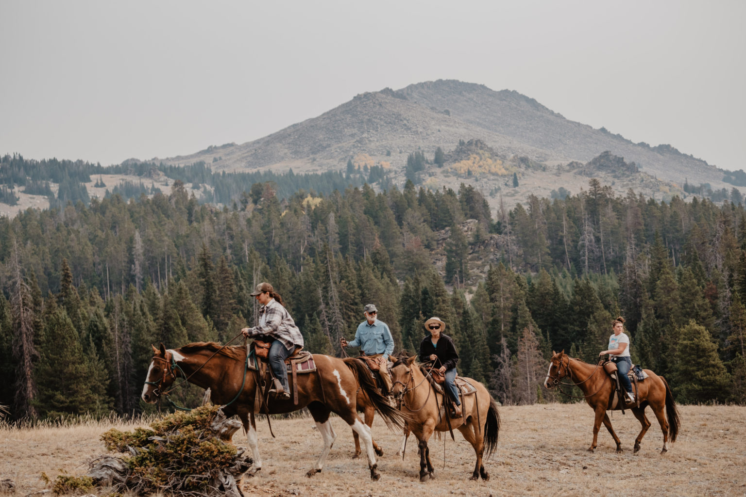 Live Out Your Yellowstone Dreams - Take a Dude Ranch Vacation
