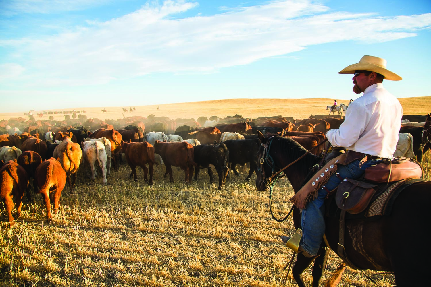 Specialty Weeks on a Dude Ranch | The Dude Ranchers' Association
