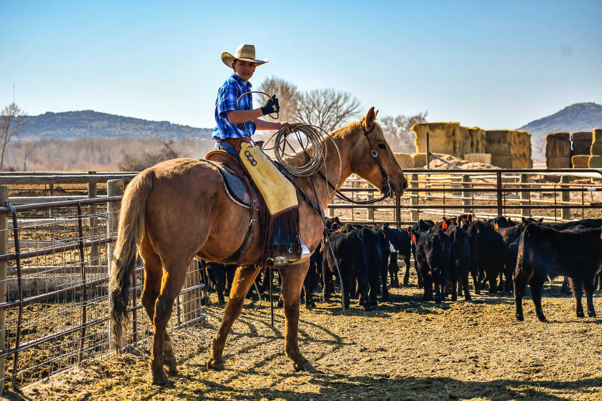 Ranch Specials for Cinco de Mayo - The Dude Ranchers Association