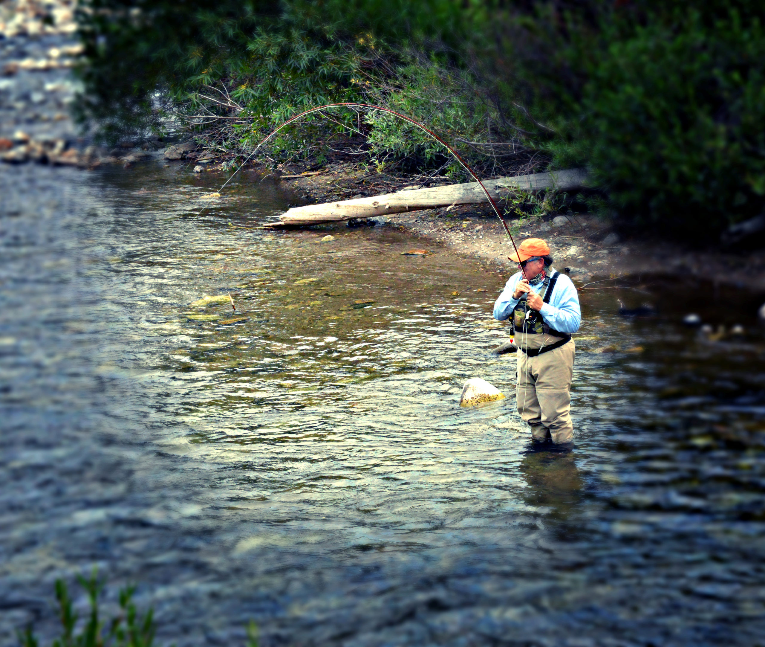 Idaho Ranches to Visit in 2023 | The Dude Ranchers' Association