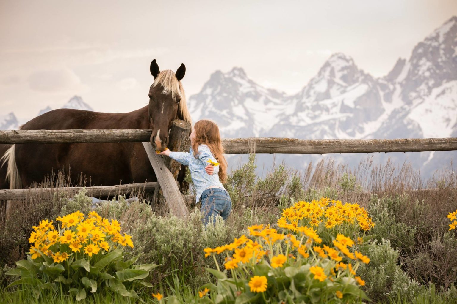 Dude & Guest Ranch Vacations - The Dude Ranchers Association